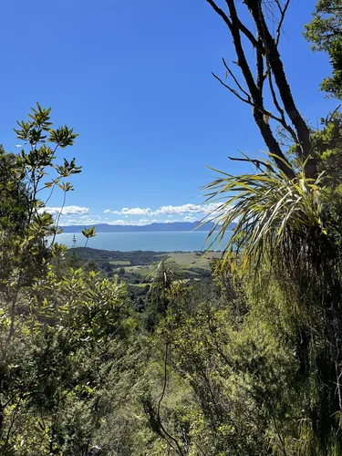 Best 10 Hikes and Trails in Hunua Ranges Regional Park | AllTrails