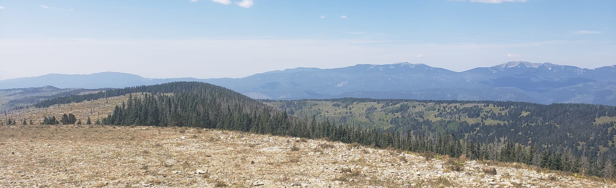 Elk Mountain: 44 Reviews, Map - New Mexico | AllTrails