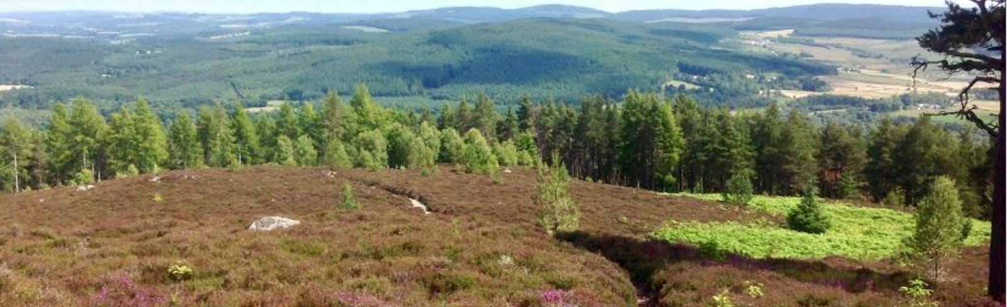 Banchory and Scolty Hill March Trail: 114 Fotos - Aberdeenshire ...