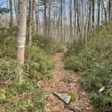 Monson Community Loop, New Hampshire - 267 Reviews, Map | AllTrails