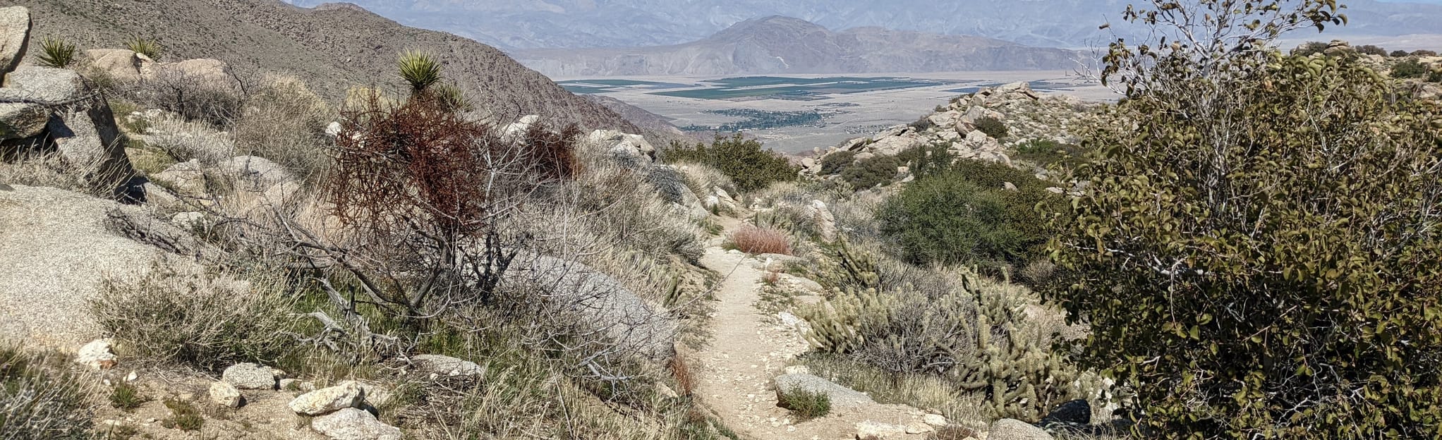 Culp Valley Overlook Trail: 151 Reviews, Map - California | AllTrails