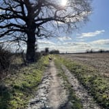 Old Basing Northern and River Loddon Circular, Hampshire, England - 195 ...
