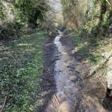 Old Basing Northern and River Loddon Circular, Hampshire, England - 195 ...