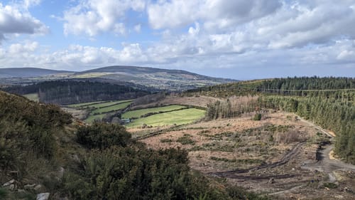 2023 Best Walking Trails in Carrickgollogan Wood | AllTrails
