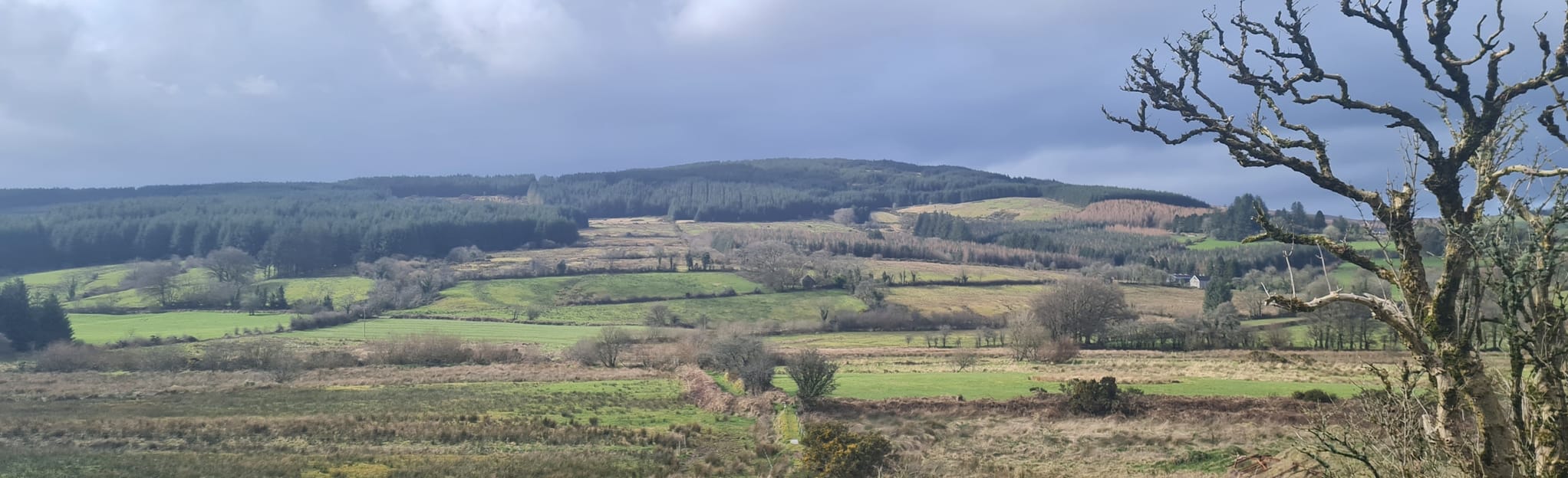 Kilcommon Pilgrim Loop, County Tipperary, Ireland - 40 Reviews, Map ...