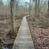 Pawcatuck River Loop, Rhode Island - 207 Reviews, Map | AllTrails