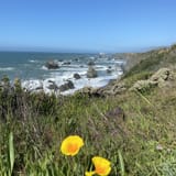 Kortum Trail, California - 322 Reviews, Map | AllTrails