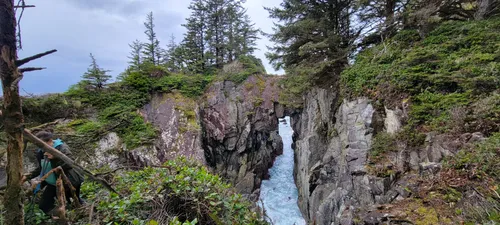 Best Hard Trails in Pacific Rim National Park Reserve | AllTrails