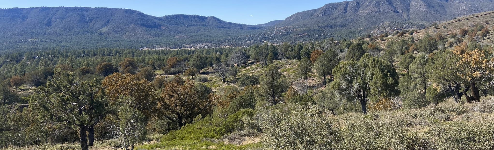 Pine Canyon, Pine View, Highline, and Arizona Trail Loop, Arizona - 501 ...