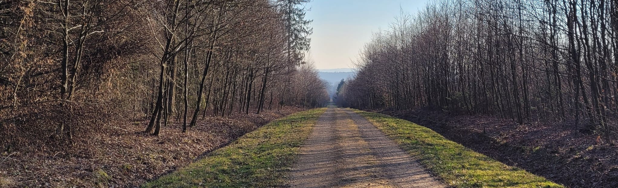 Bois du Bannet : 34 Photos - Ardennes, France | Randonnée | AllTrails