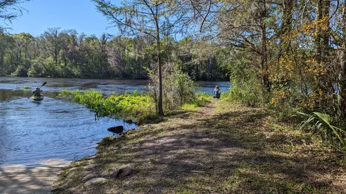 Best Hikes and Trails in Aucilla Wildlife Management Area | AllTrails