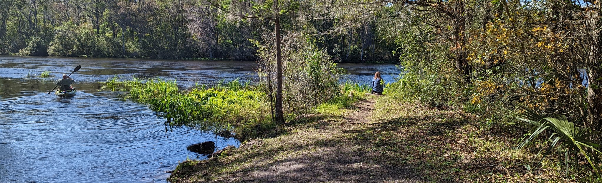 Wacissa River: Wacissa Springs to Aucilla River At US 98, Florida - 31 ...