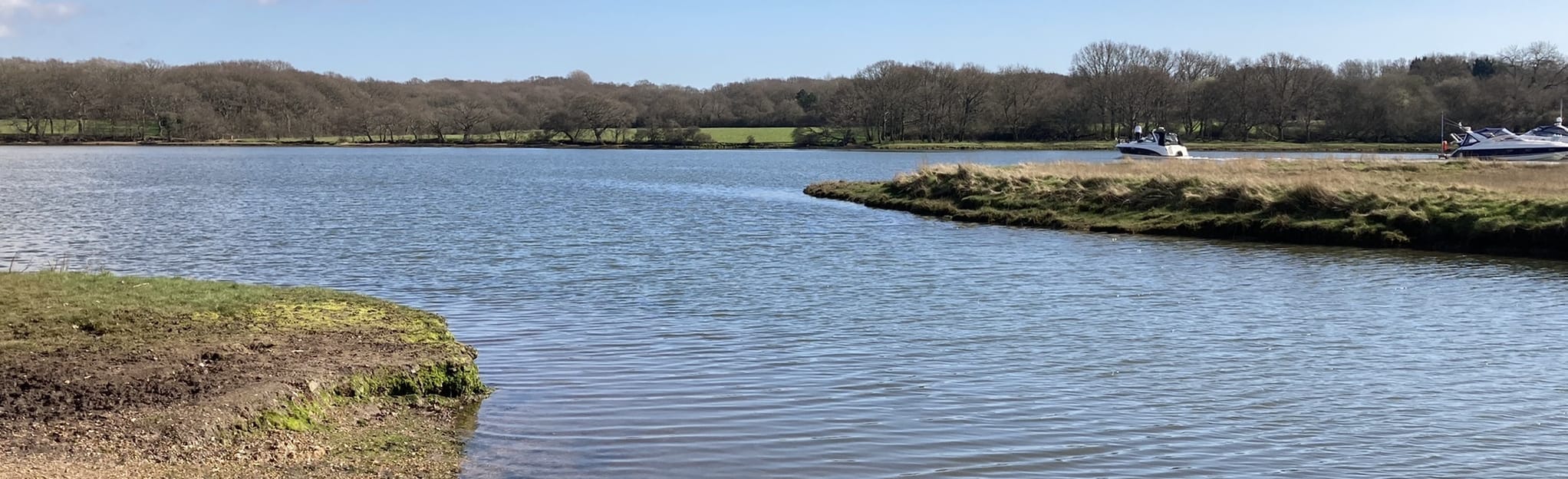 Manor Farm: 77 Reviews, Map - Hampshire, England | AllTrails