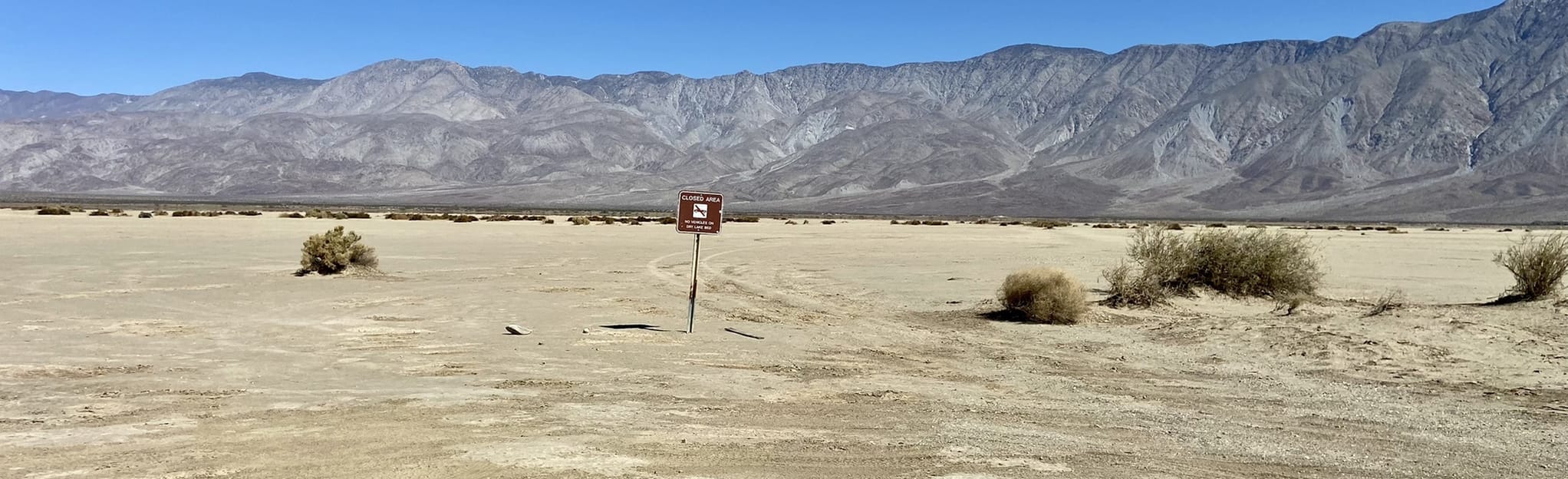 Clark Dry Lake Loop: 5 Reviews, Map - California | AllTrails