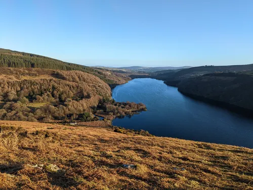 2023 Best River Trails in Togher | AllTrails