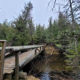 Luzerne Boardwalk, Michigan - 83 Reviews, Map | AllTrails