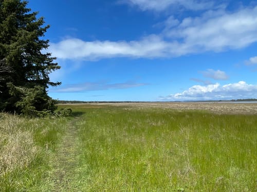 2023 Best Beach Trails in Willapa National Wildlife Refuge | AllTrails