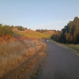 Contra Costa Canal Trail, California - 467 Reviews, Map | AllTrails