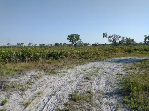 Best Hikes and Trails in Beker - Wingate Creek State Park | AllTrails