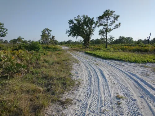 Best Hikes and Trails in Beker - Wingate Creek State Park | AllTrails