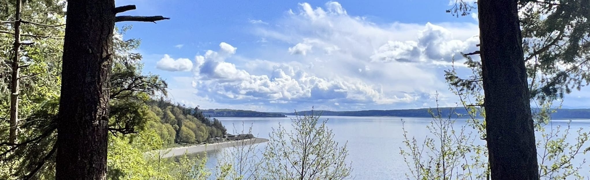 Marine Loop Trail - Washington | AllTrails