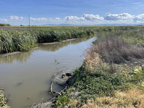 Best Hikes and Trails in Los Banos Wildlife Area | AllTrails Best Hikes and Trails in Los Banos Wildlife Area | AllTrails