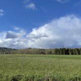 Irish Bend Covered Bridge, Oregon - 244 Reviews, Map | AllTrails