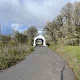 Irish Bend Covered Bridge, Oregon - 244 Reviews, Map | AllTrails