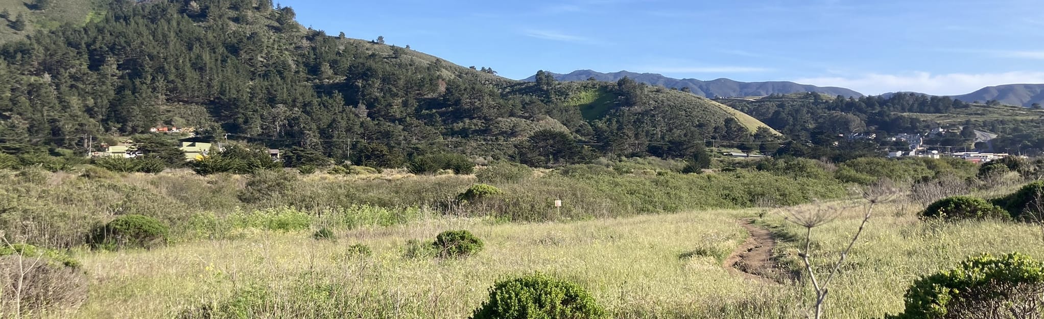 Sweeney Ridge, Milagra Ridge, and Mori Point Loop: 393 Reviews, Map ...