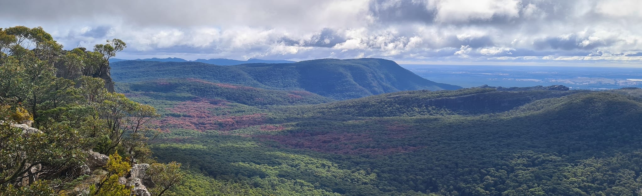 Mount Rosea and Burma Track Loop - Victoria, Australia | AllTrails