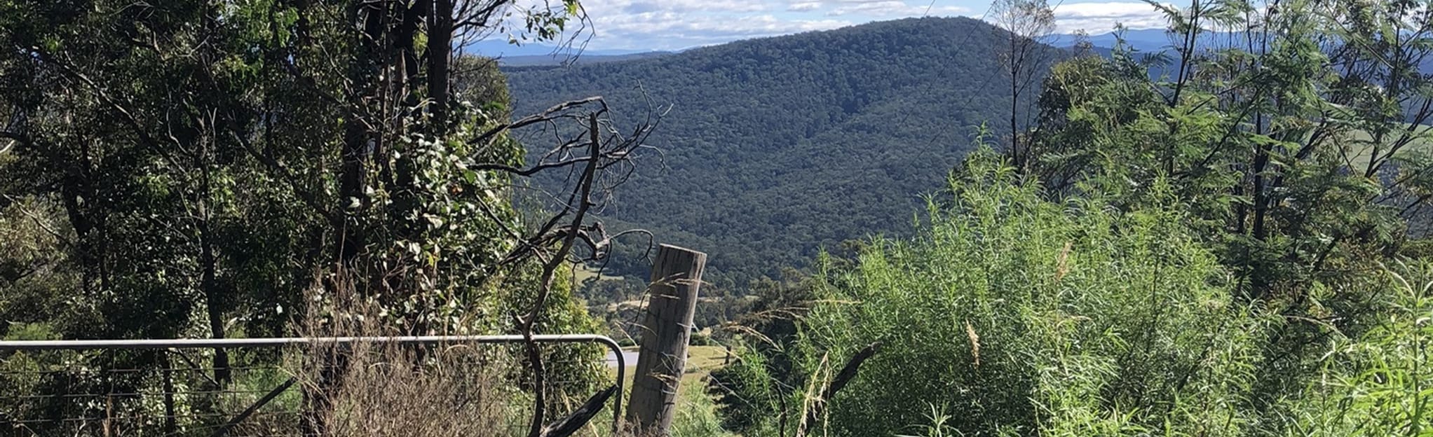 Mount Taylor via Lookout Road and Elevator Walking Track, Victoria ...