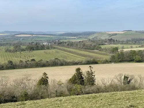 2023 Best 10 Forest Trails in Martin Down National Nature Reserve ...