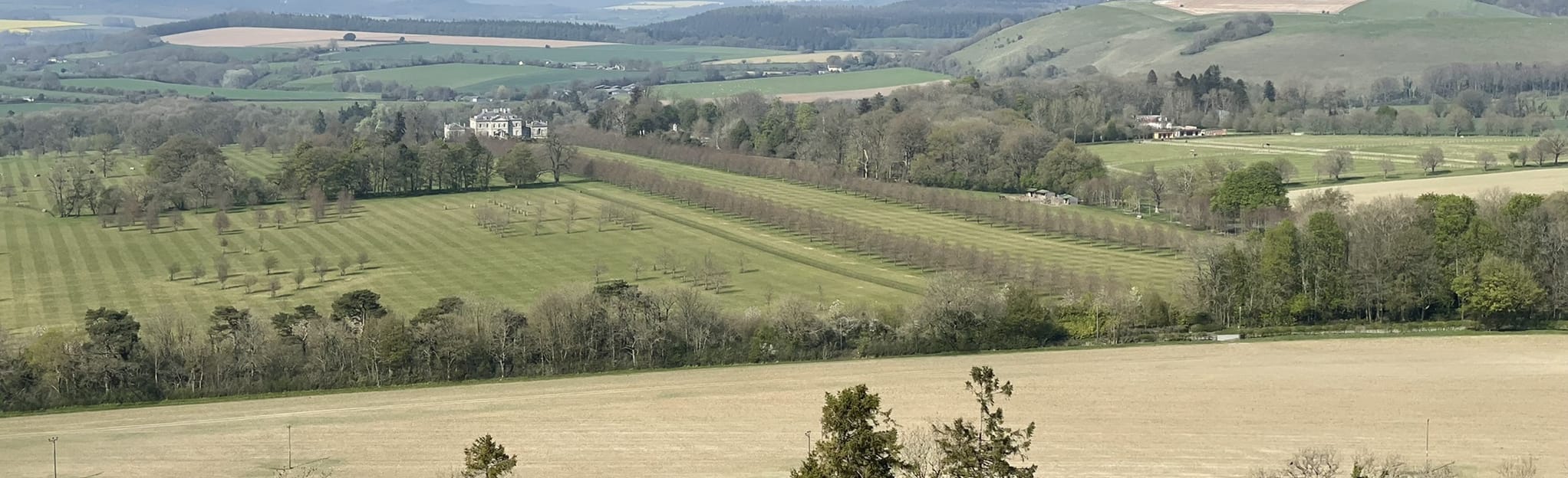 Tollard Royal Circular, Wiltshire, England - 20 Reviews, Map | AllTrails
