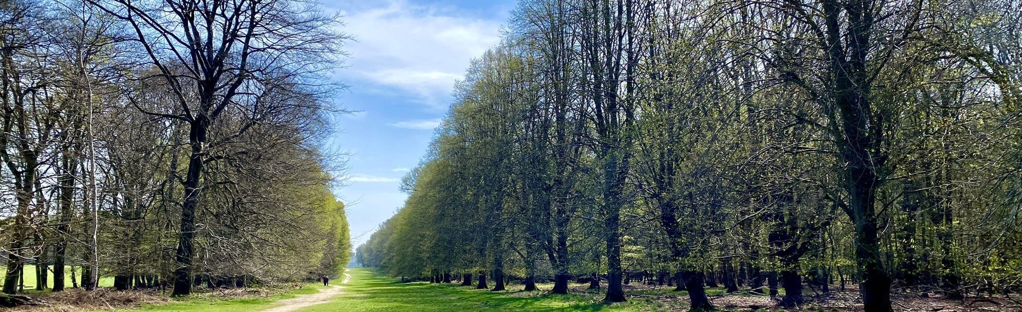 Hertfordshire Way and Ashridge Forest Circular: 52 foto's ...