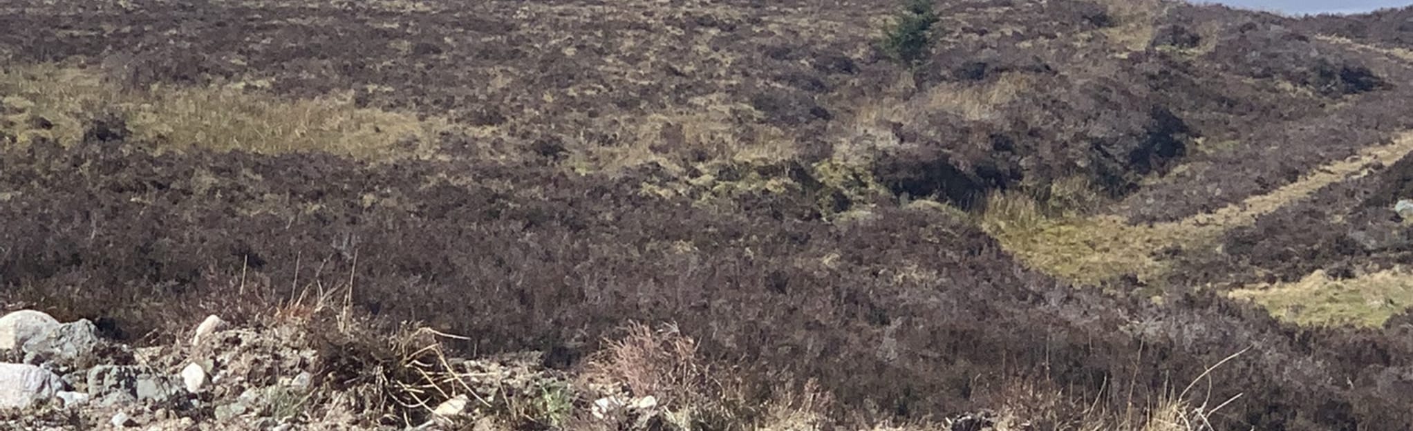 Cnoc Udais, Highlands, Scotland - 8 Reviews, Map | AllTrails