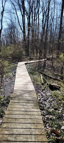Best Hikes and Trails in Morris Woods State Park | AllTrails