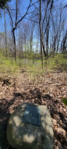 Best Hikes and Trails in Morris Woods State Park | AllTrails