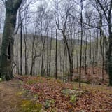 QuiVaLa Elise Falls Trail, Arkansas - 179 Reviews, Map | AllTrails