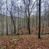 QuiVaLa Elise Falls Trail, Arkansas - 179 Reviews, Map | AllTrails