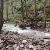 QuiVaLa Elise Falls Trail, Arkansas - 179 Reviews, Map | AllTrails