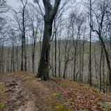 QuiVaLa Elise Falls Trail, Arkansas - 186 Reviews, Map | AllTrails