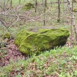 QuiVaLa Elise Falls Trail, Arkansas - 186 Reviews, Map | AllTrails