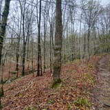 QuiVaLa Elise Falls Trail, Arkansas - 186 Reviews, Map | AllTrails