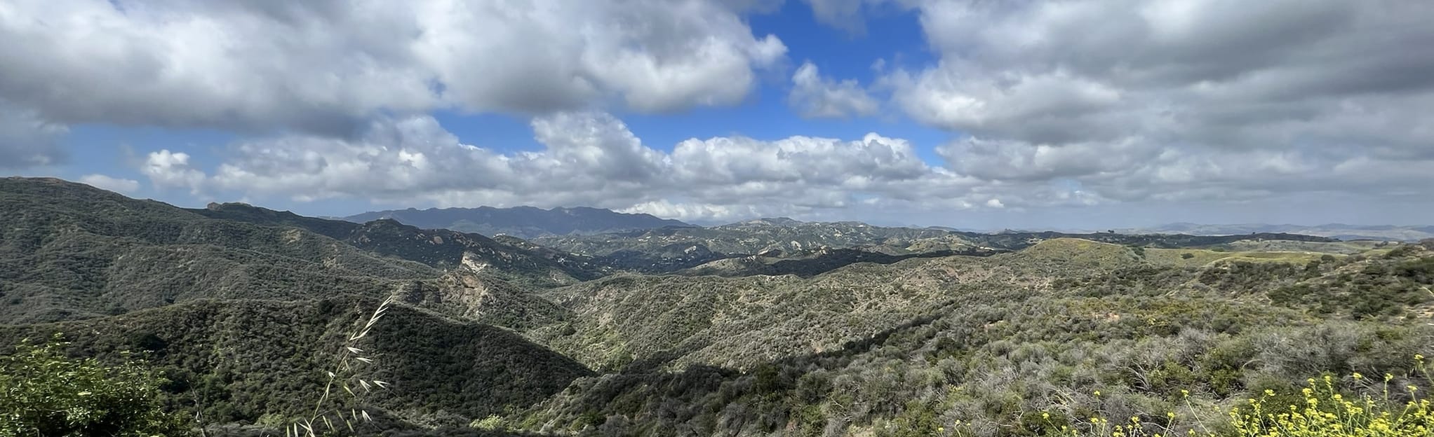 Topanga Canyon Loop , California - 127 Reviews, Map | AllTrails