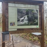 QuiVaLa Elise Falls Trail, Arkansas - 179 Reviews, Map | AllTrails