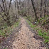 QuiVaLa Elise Falls Trail, Arkansas - 179 Reviews, Map | AllTrails