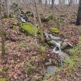 QuiVaLa Elise Falls Trail, Arkansas - 179 Reviews, Map | AllTrails