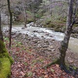 QuiVaLa Elise Falls Trail, Arkansas - 179 Reviews, Map | AllTrails