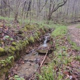 QuiVaLa Elise Falls Trail, Arkansas - 179 Reviews, Map | AllTrails