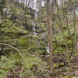 QuiVaLa Elise Falls Trail, Arkansas - 179 Reviews, Map | AllTrails